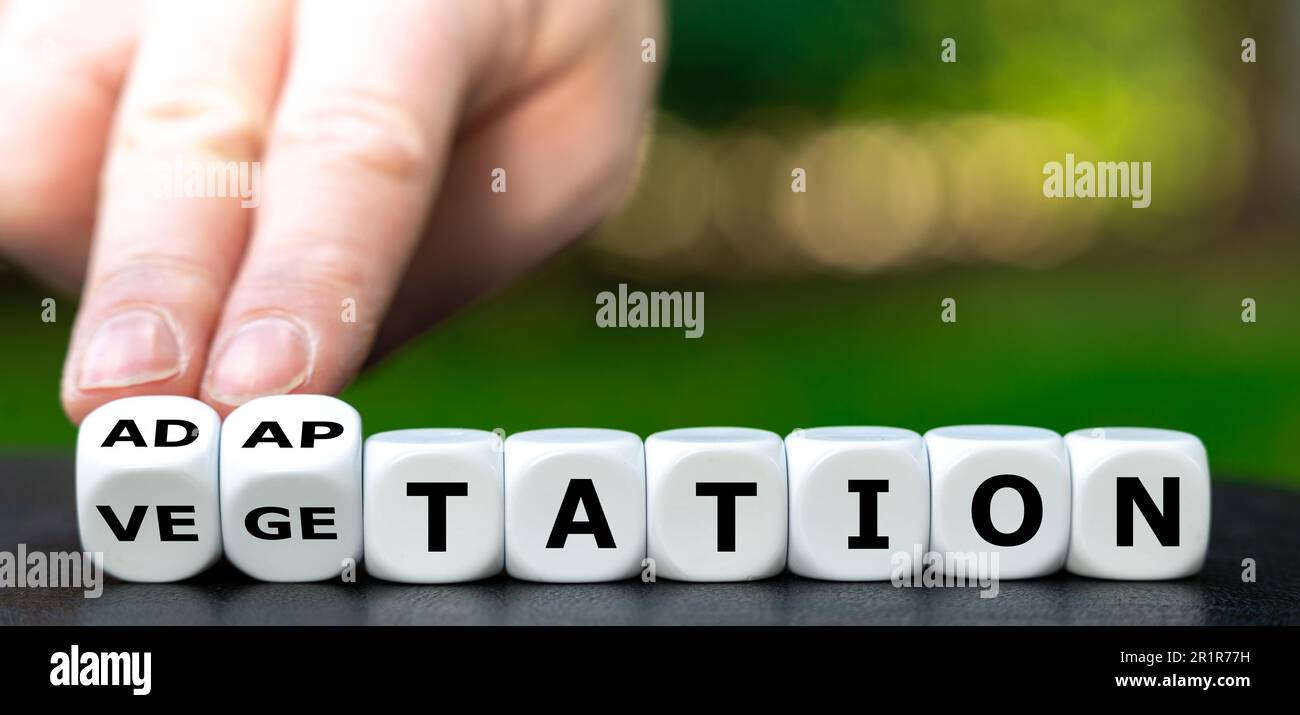 Symbol adaptation hi-res stock photography and images - Alamy