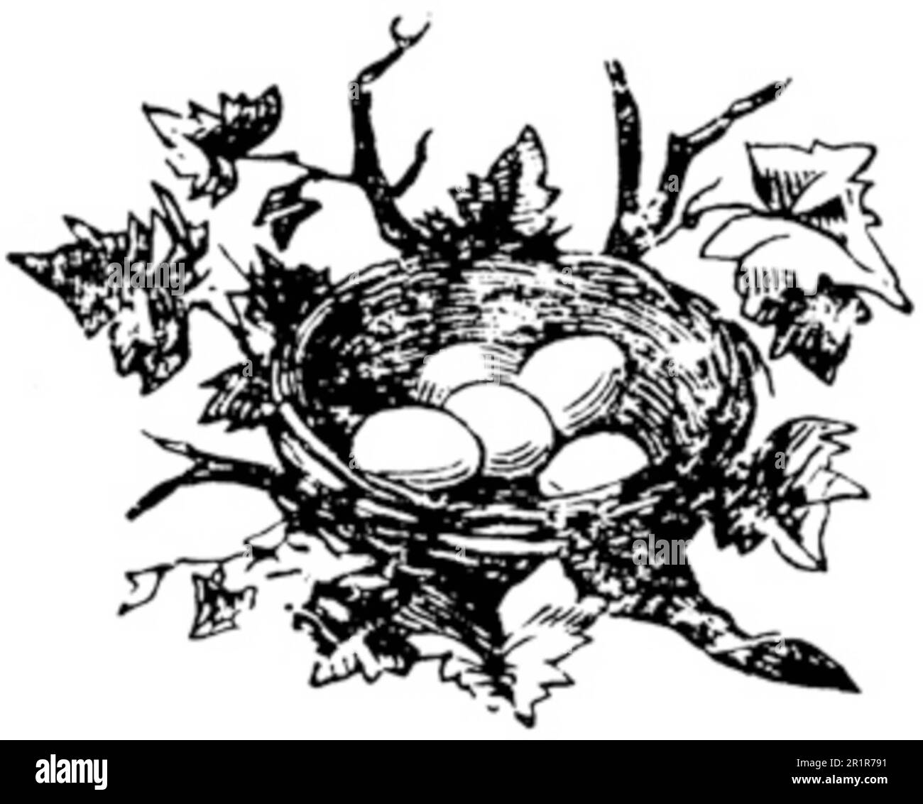 Relic habitat hi-res stock photography and images - Alamy