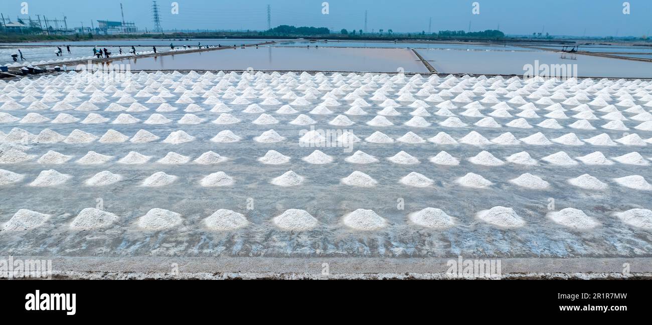 Sea salt farm in Thailand. Brine salt. Raw material of salt industrial ...
