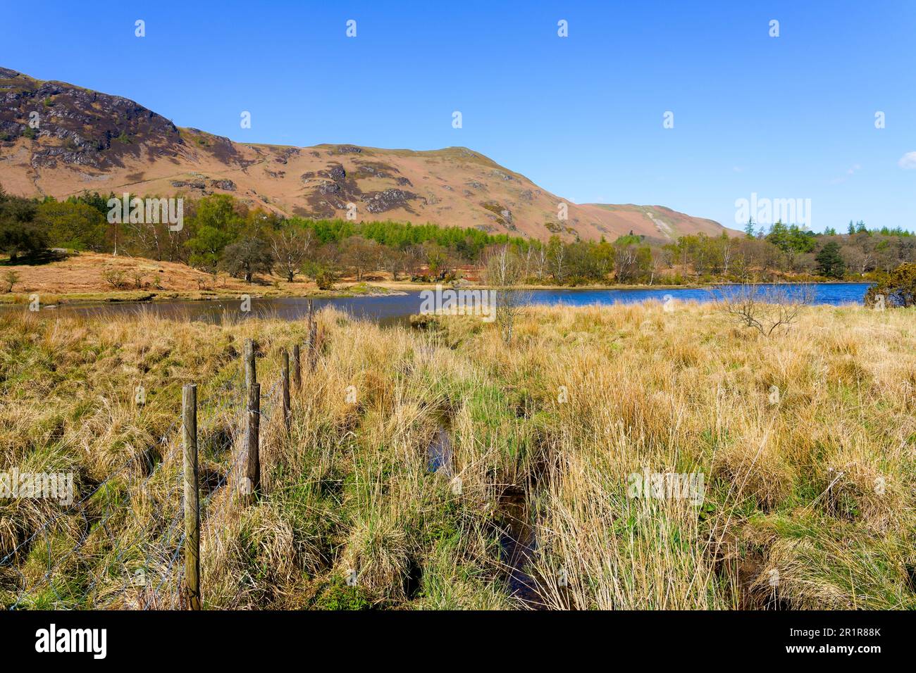 Bells swamp hi-res stock photography and images - Alamy