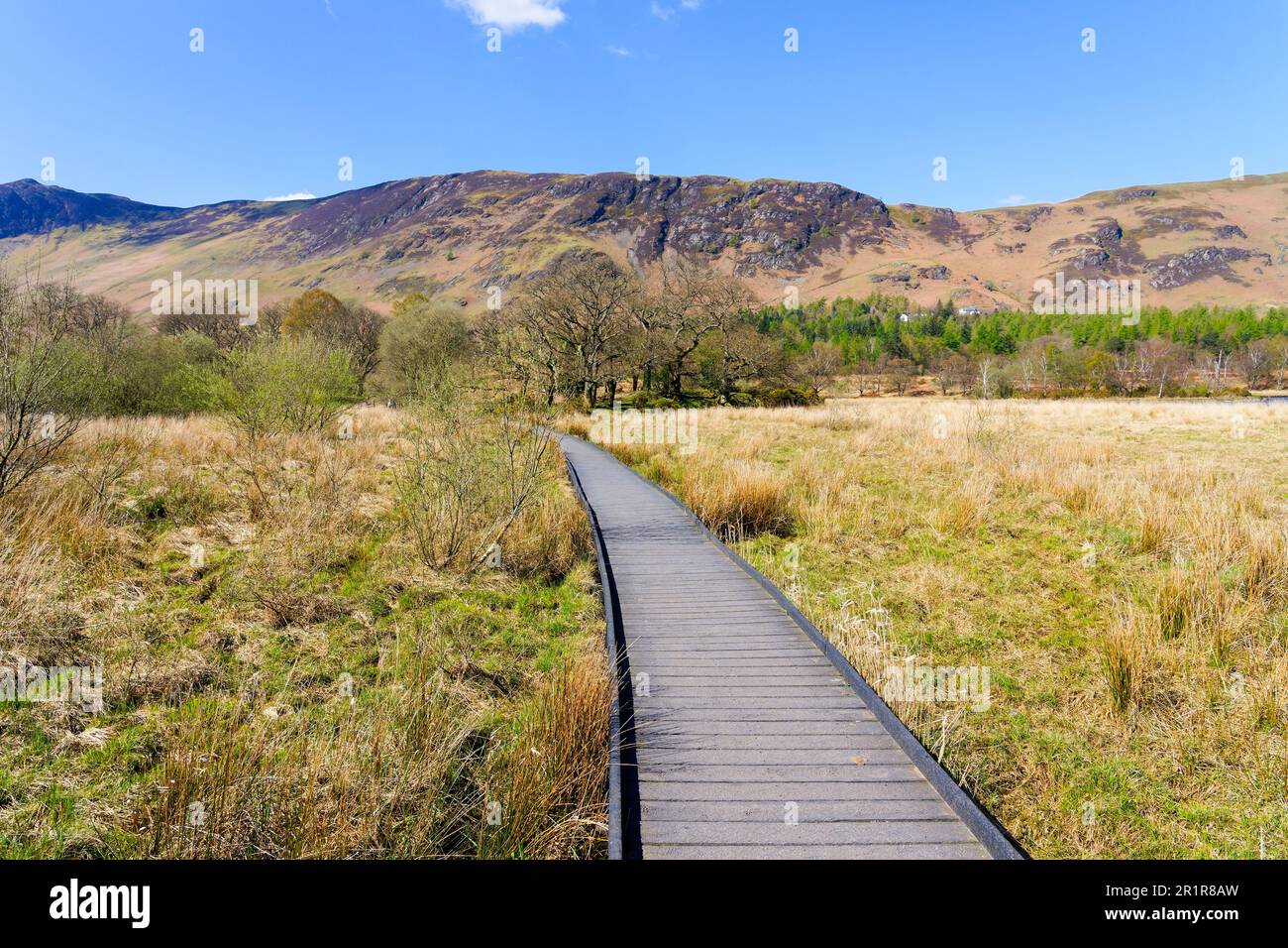 Bells swamp hi-res stock photography and images - Alamy