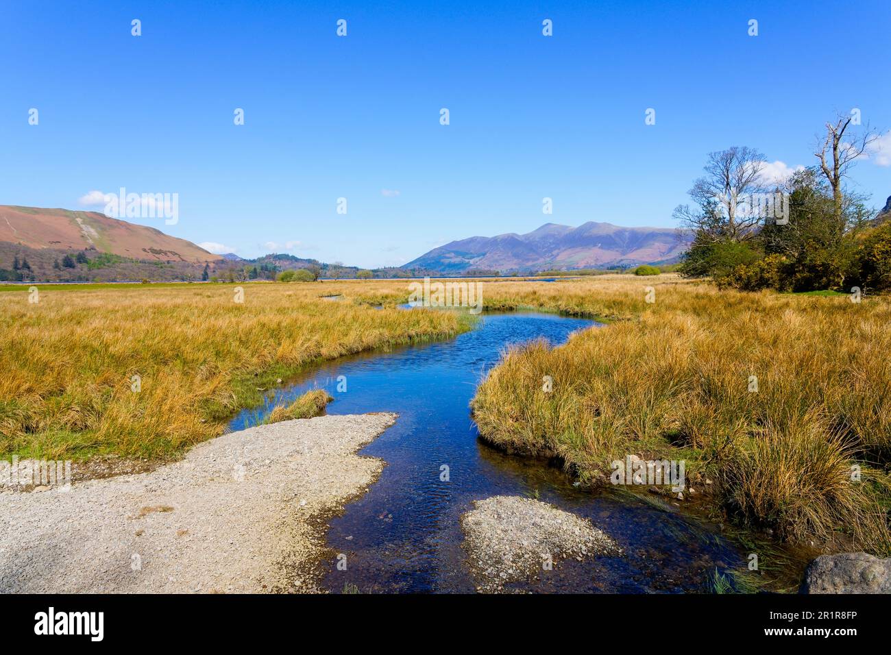 Clear, shallow stream flows through marshland from Derwent Water ...