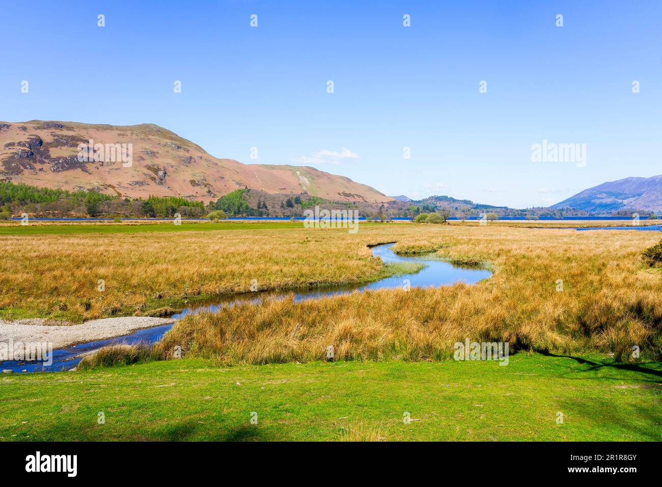 Clean, clear stream flows through marshes at Derwent Water, with Maiden ...