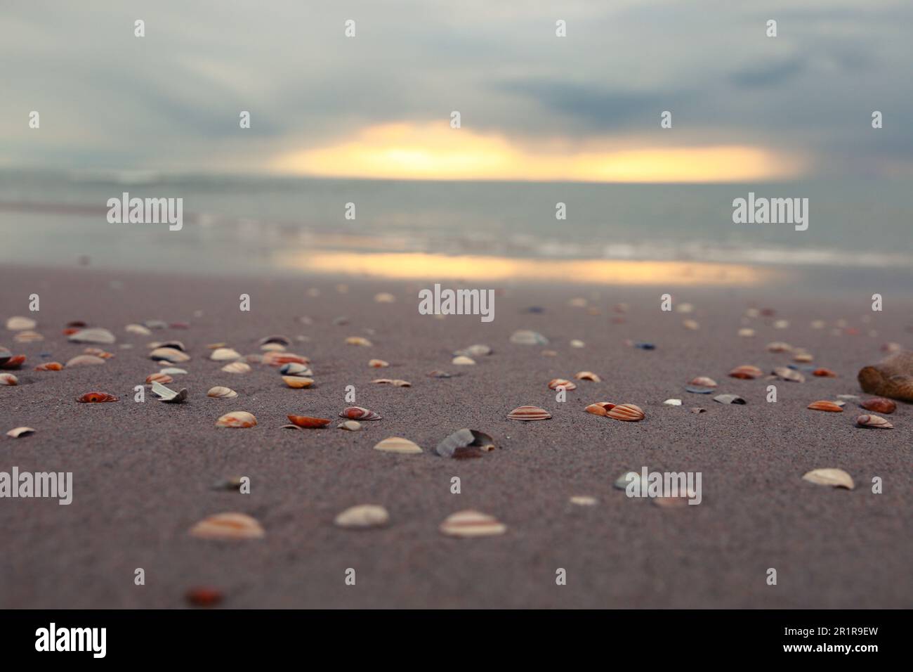 Beach Sunset with seashells Stock Photo - Alamy