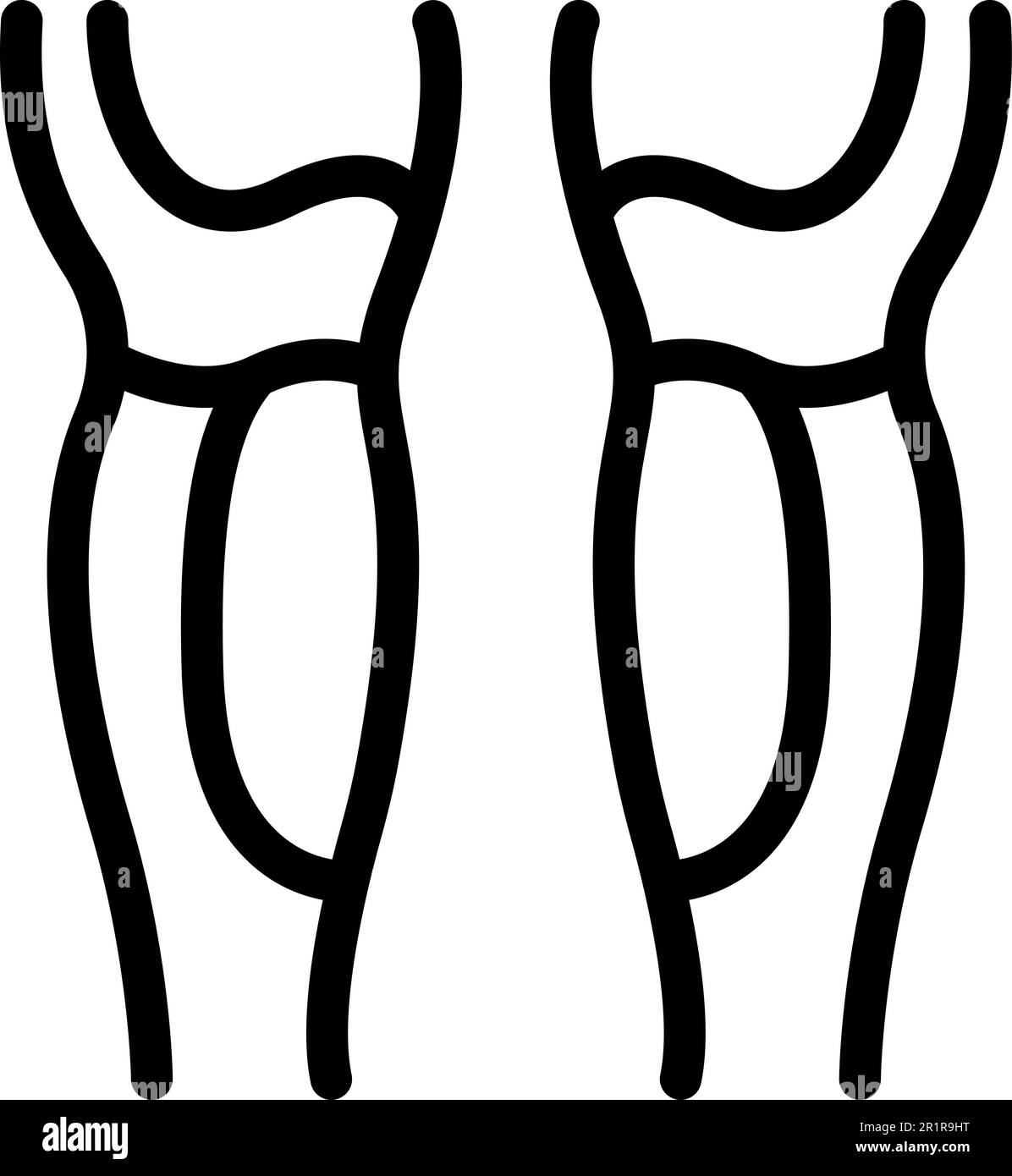 Muscle tissue, legs Stock Vector Images - Alamy