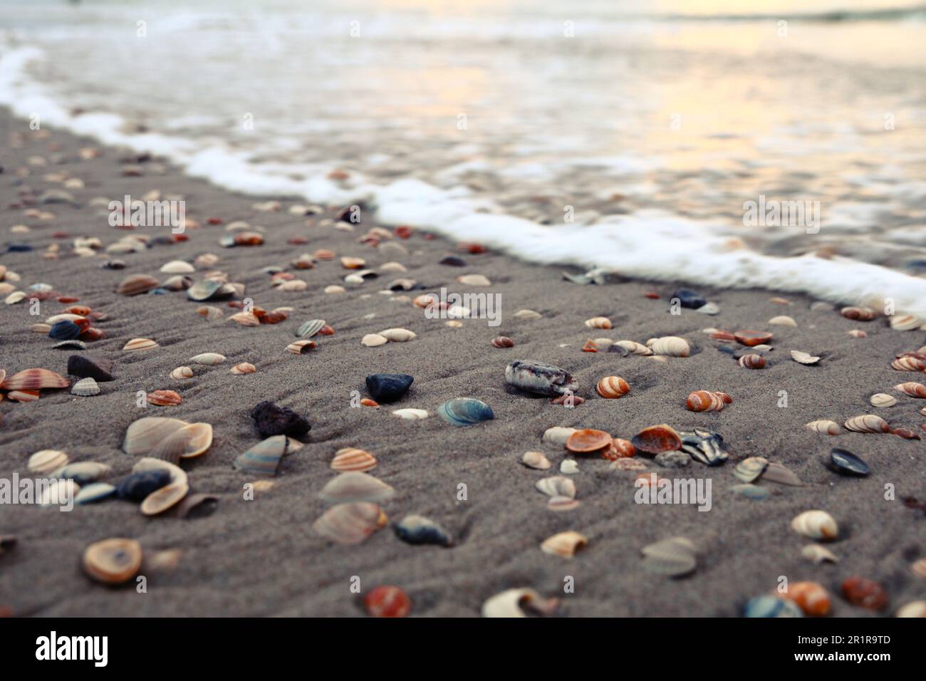 Beach Sunset with seashells Stock Photo - Alamy