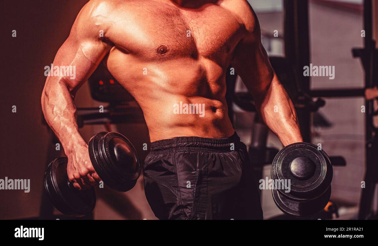 Athlete in the gym training with dumbbells. Abs and biceps. Muscular ...
