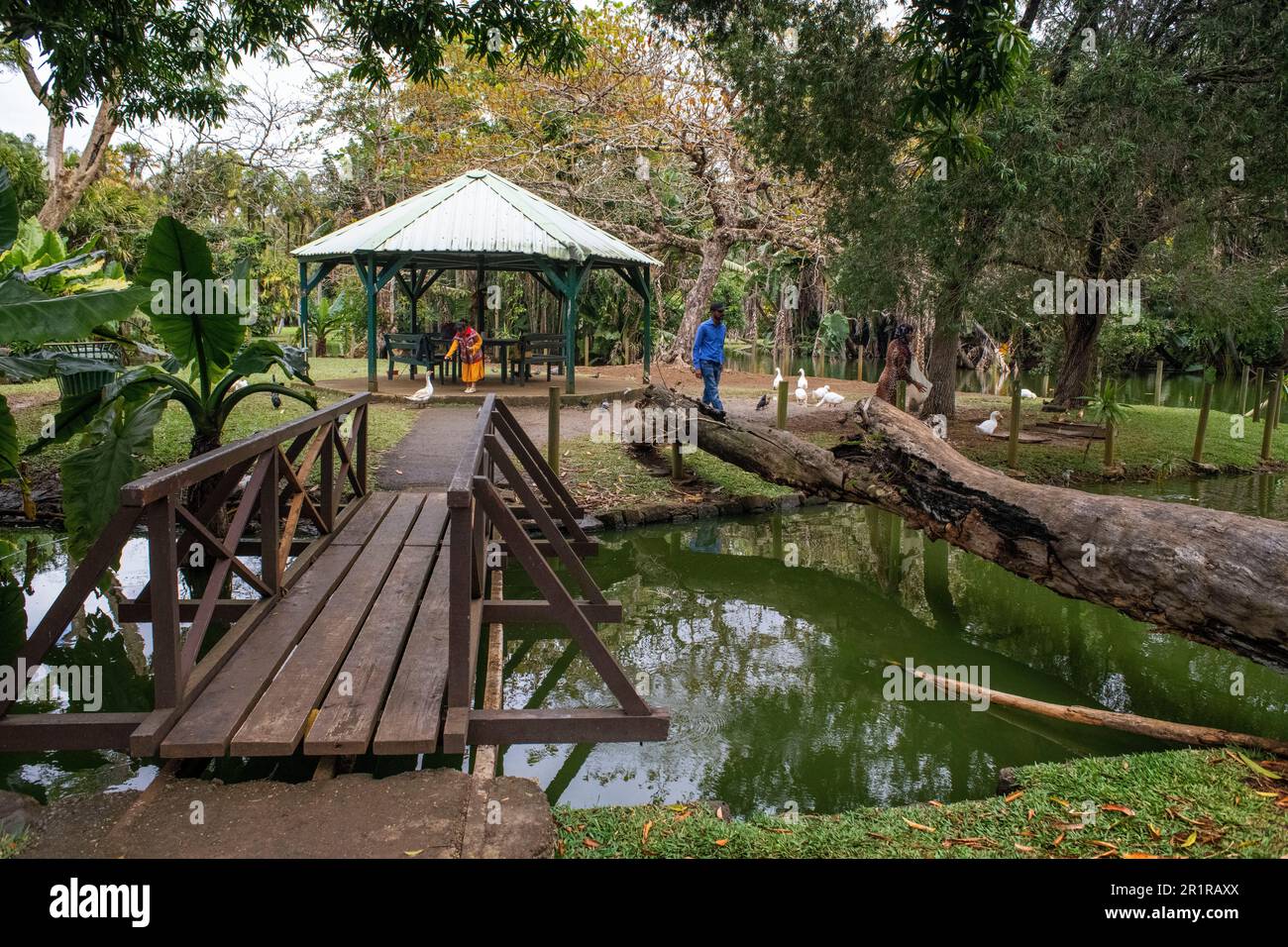 Mauritius eco hi-res stock photography and images - Alamy