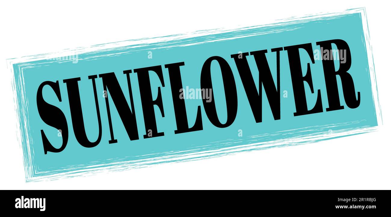 SUNFLOWER text written on blue-black rectangle stamp sign Stock Photo ...