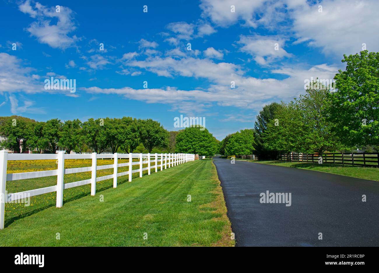 Empty road in Colts Neck, New Jersey, USA, on a beautiful spring day ...