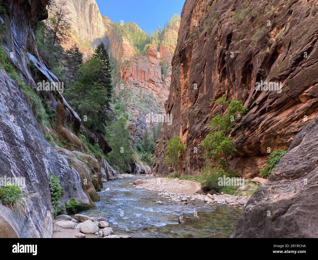 River running through a gorge, Zion Narrows, Zion National Park, Utah ...