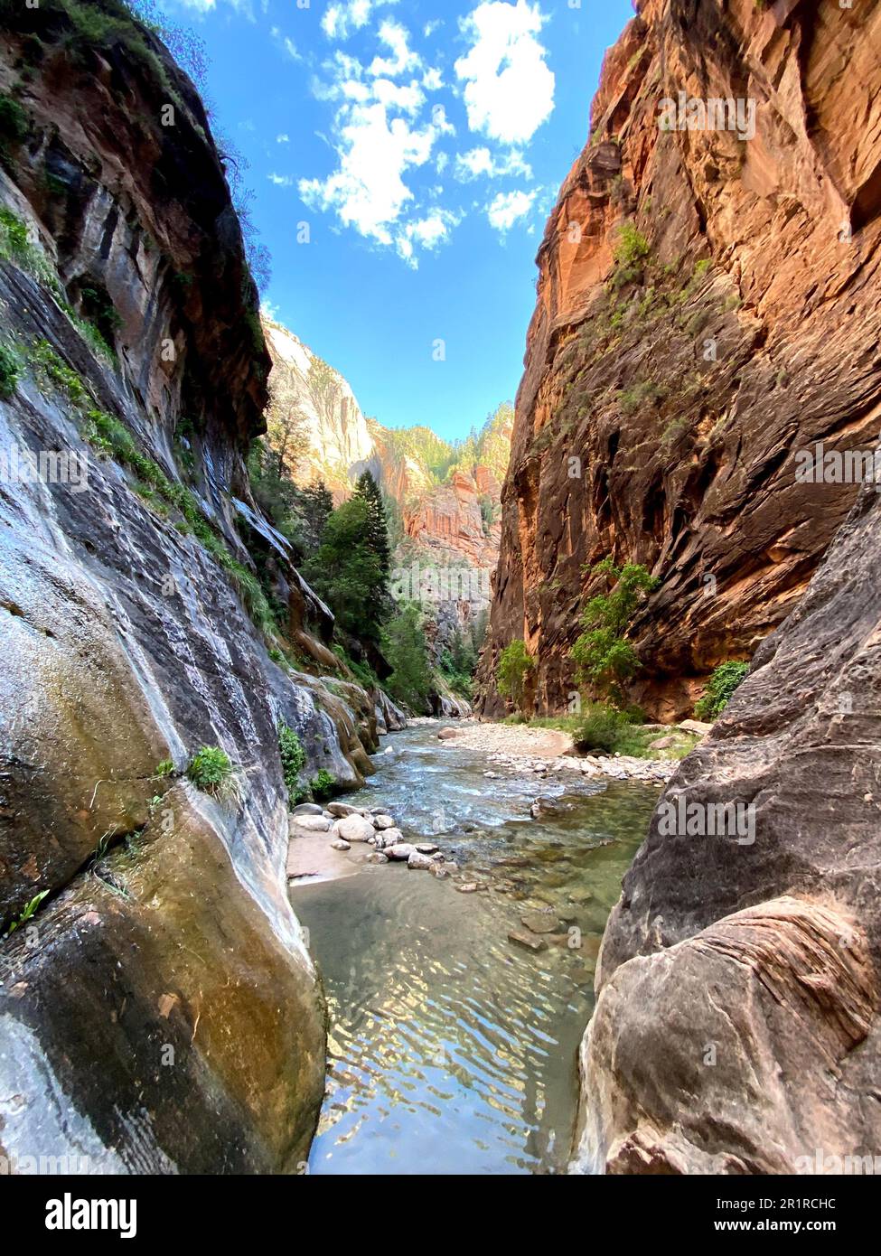 River running through a gorge, Zion Narrows, Zion National Park, Utah ...