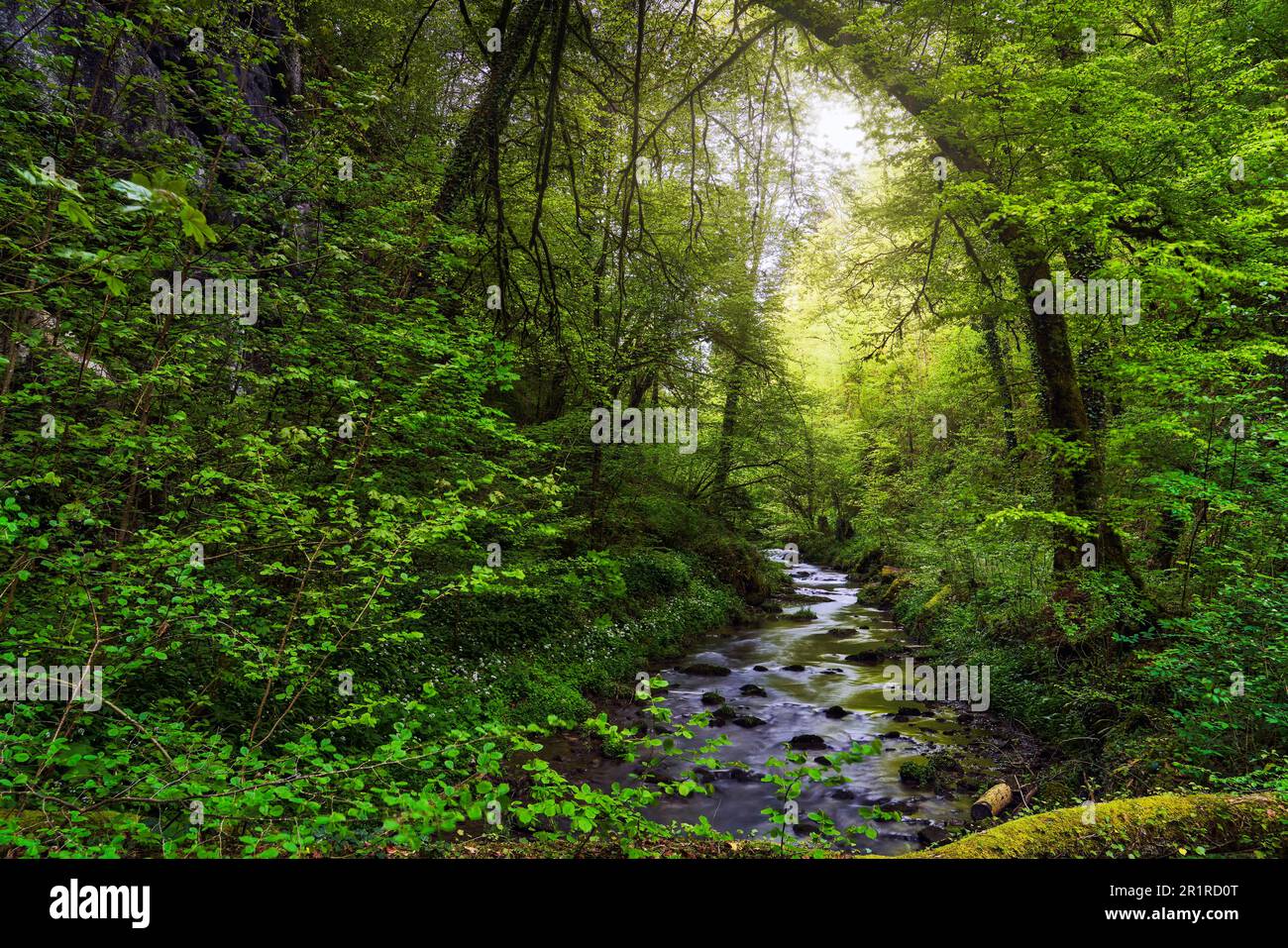 The well-known Chaltbrunnental, also called Kaltbrunnental, near ...