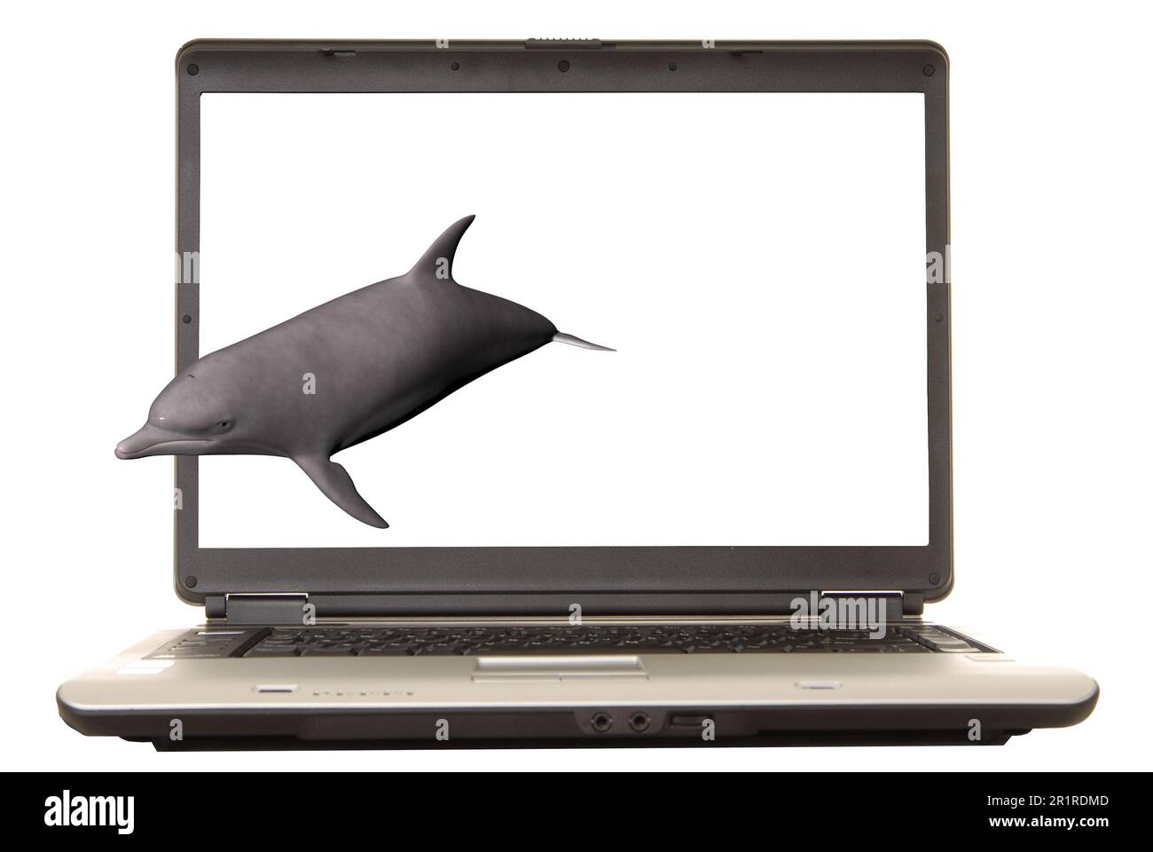 Laptop computer with an illustrated dolphin swimming off screen Stock ...