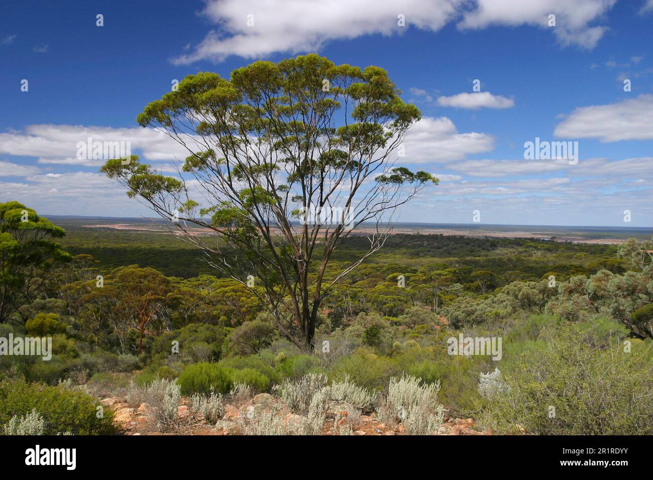 Norseman hi-res stock photography and images - Alamy