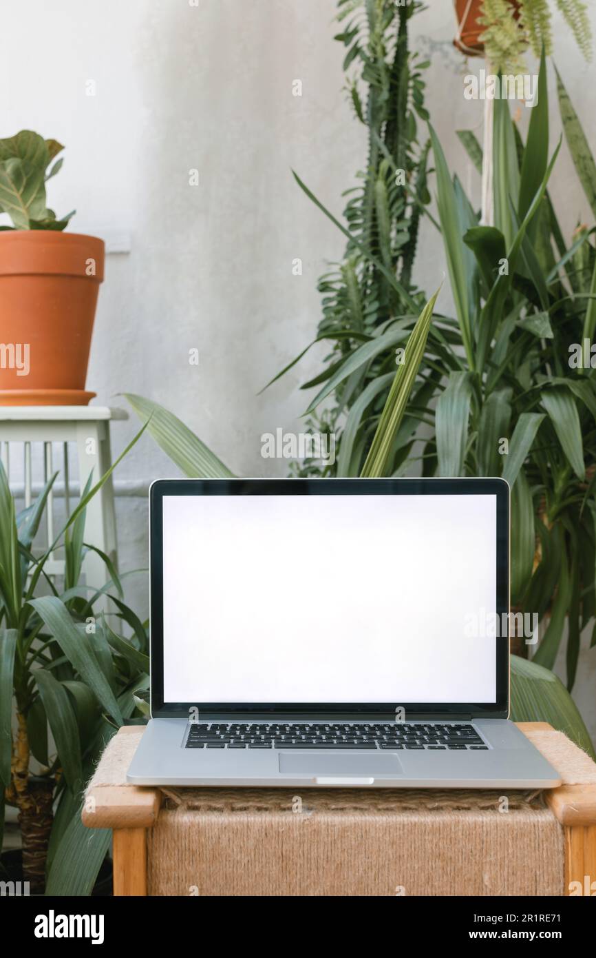 Close-up of an open laptop computer with blank screen surrounded by ...