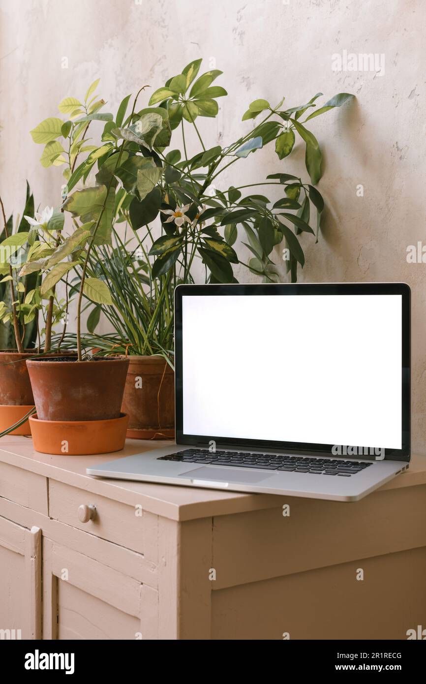Close-up of an open laptop computer with blank screen on a sideboard ...