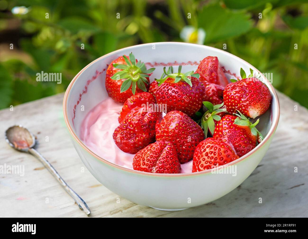 Natural fresco hi-res stock photography and images - Alamy