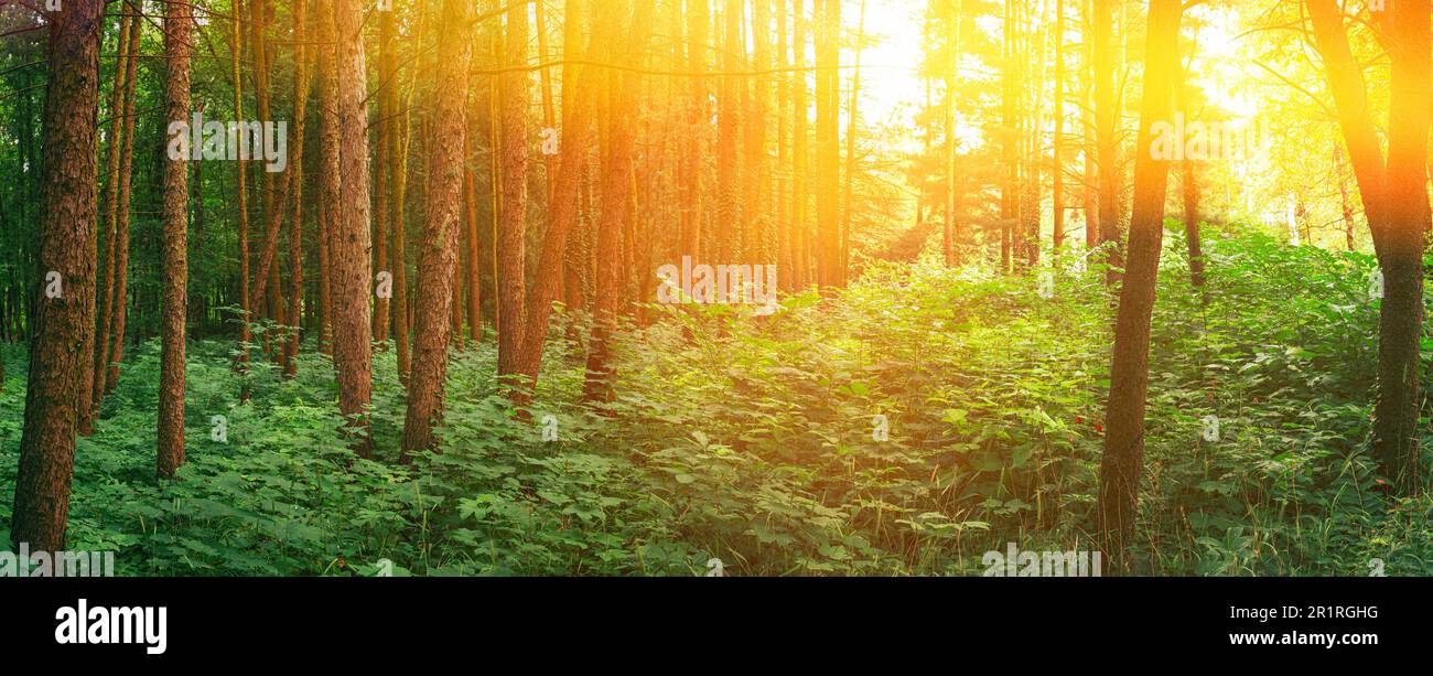 Facebook Cover Photos Sunrise