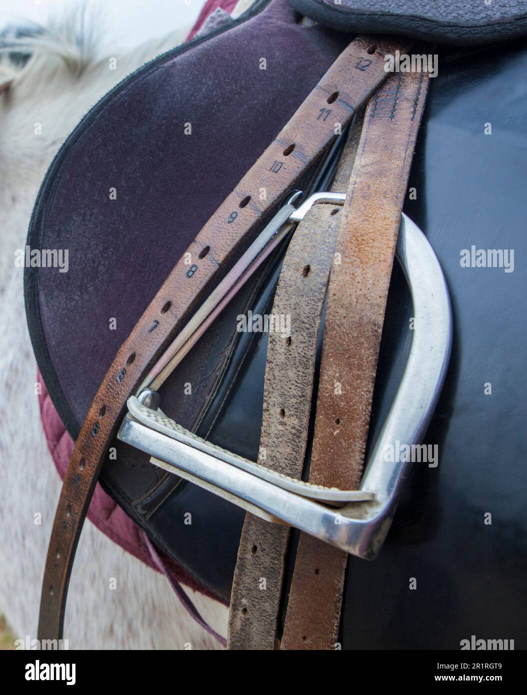 Stirrup strap hi-res stock photography and images - Alamy