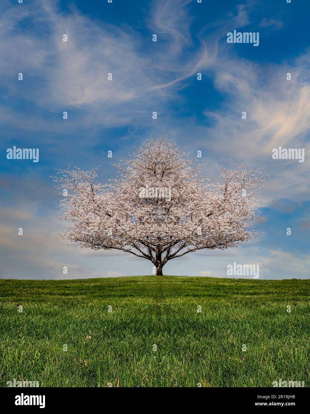 Flopped image composites hi-res stock photography and images - Alamy