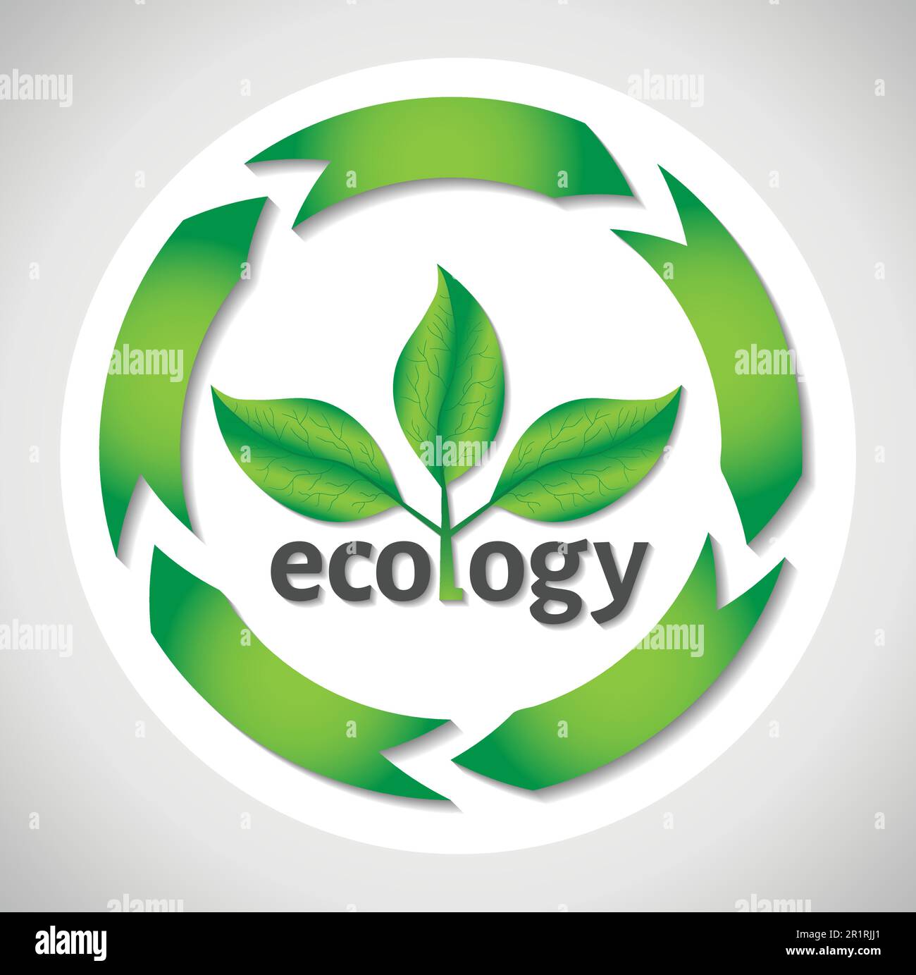 Ecological or environmental concept or logo. Green leaves on a tree ...