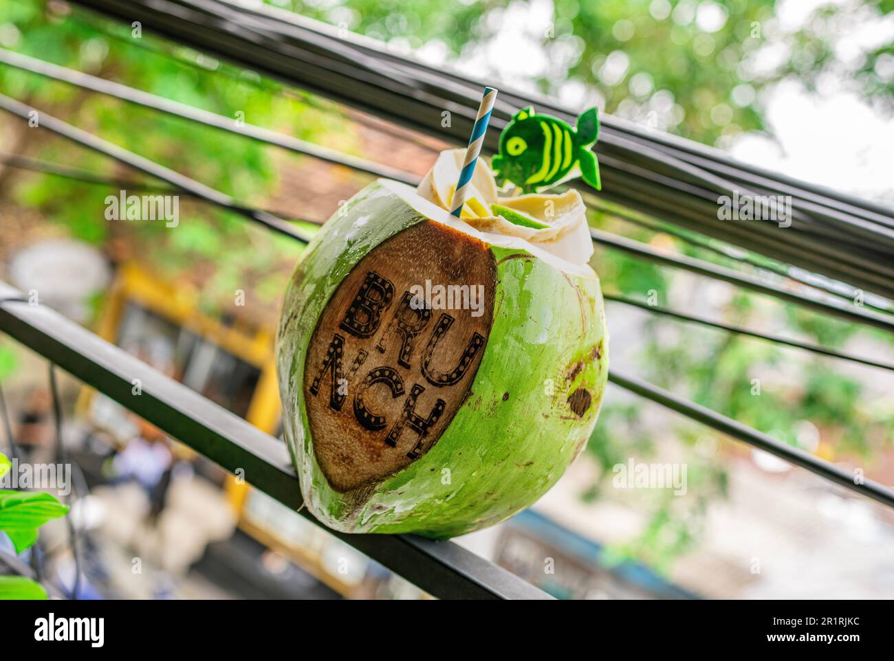 Coconut gathering hi-res stock photography and images - Alamy