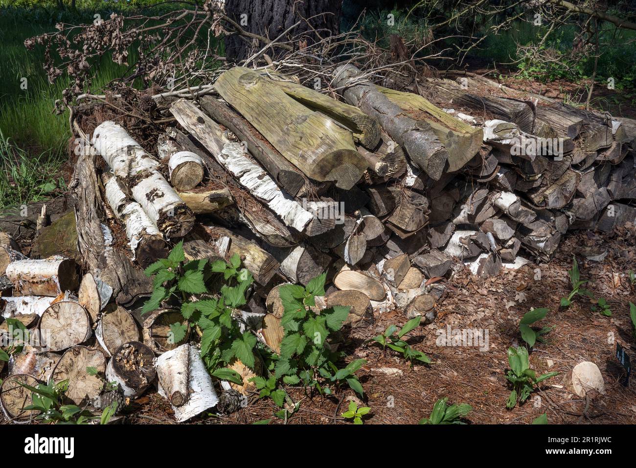 Log pile ready for snuggly warm open fires in winter Stock Photo - Alamy