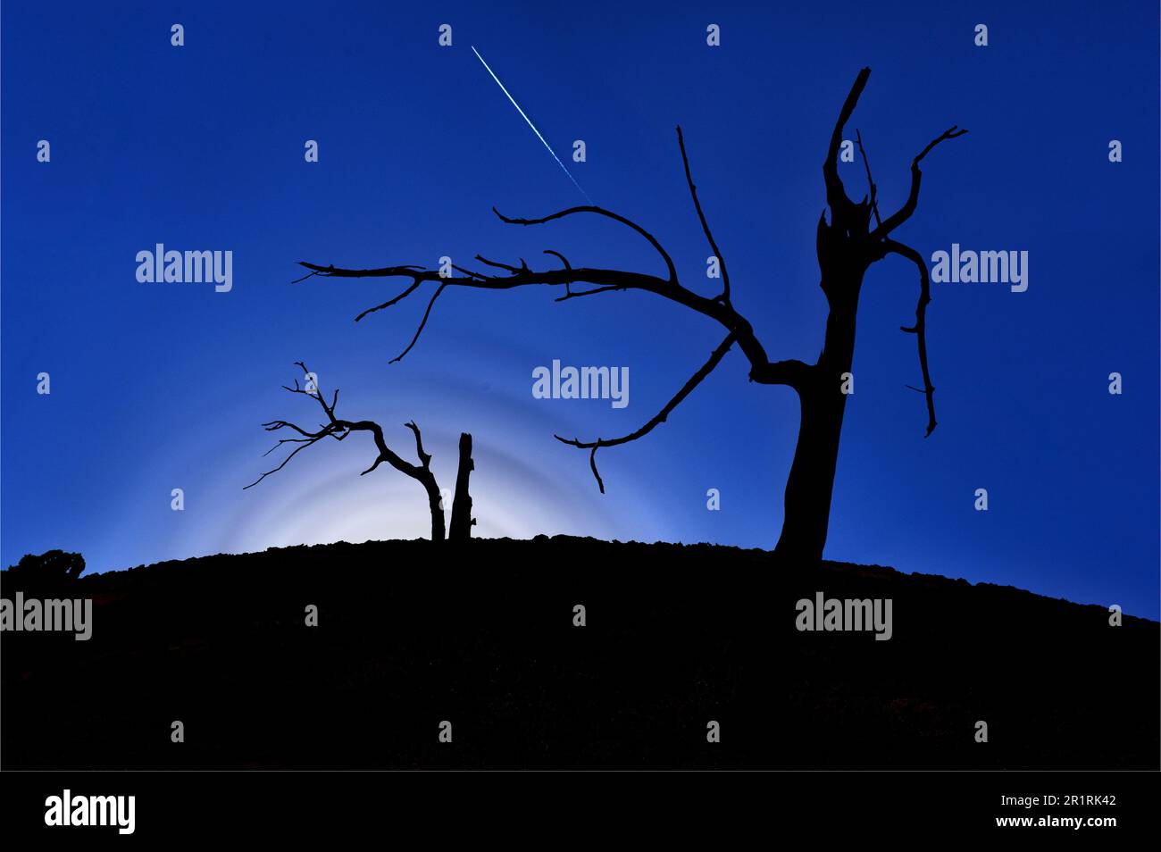 Cedar shamans hi-res stock photography and images - Alamy