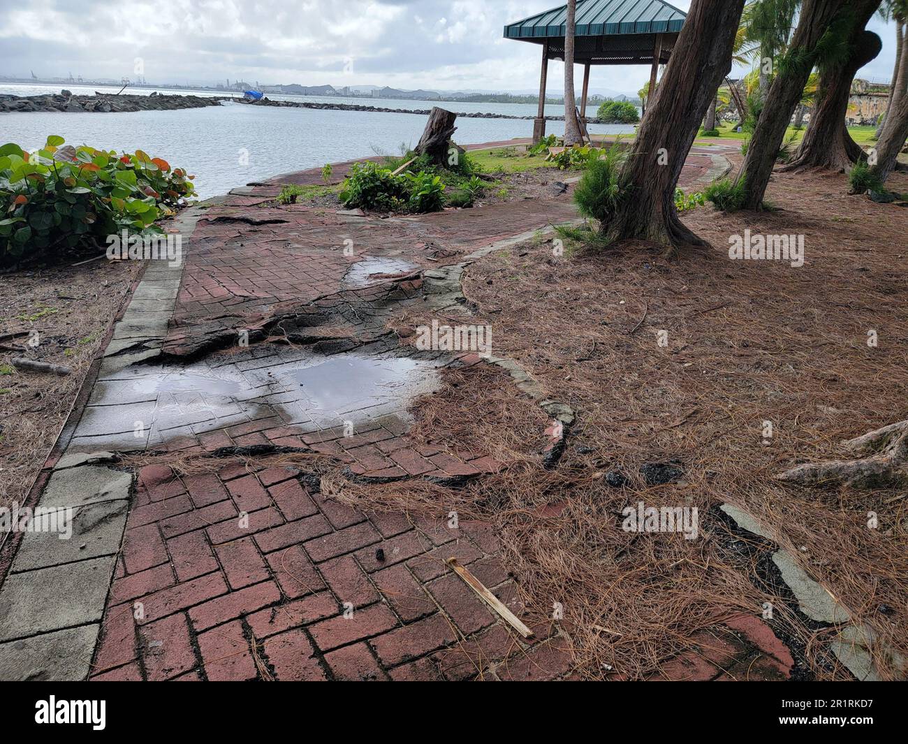 Root trail hi-res stock photography and images - Alamy