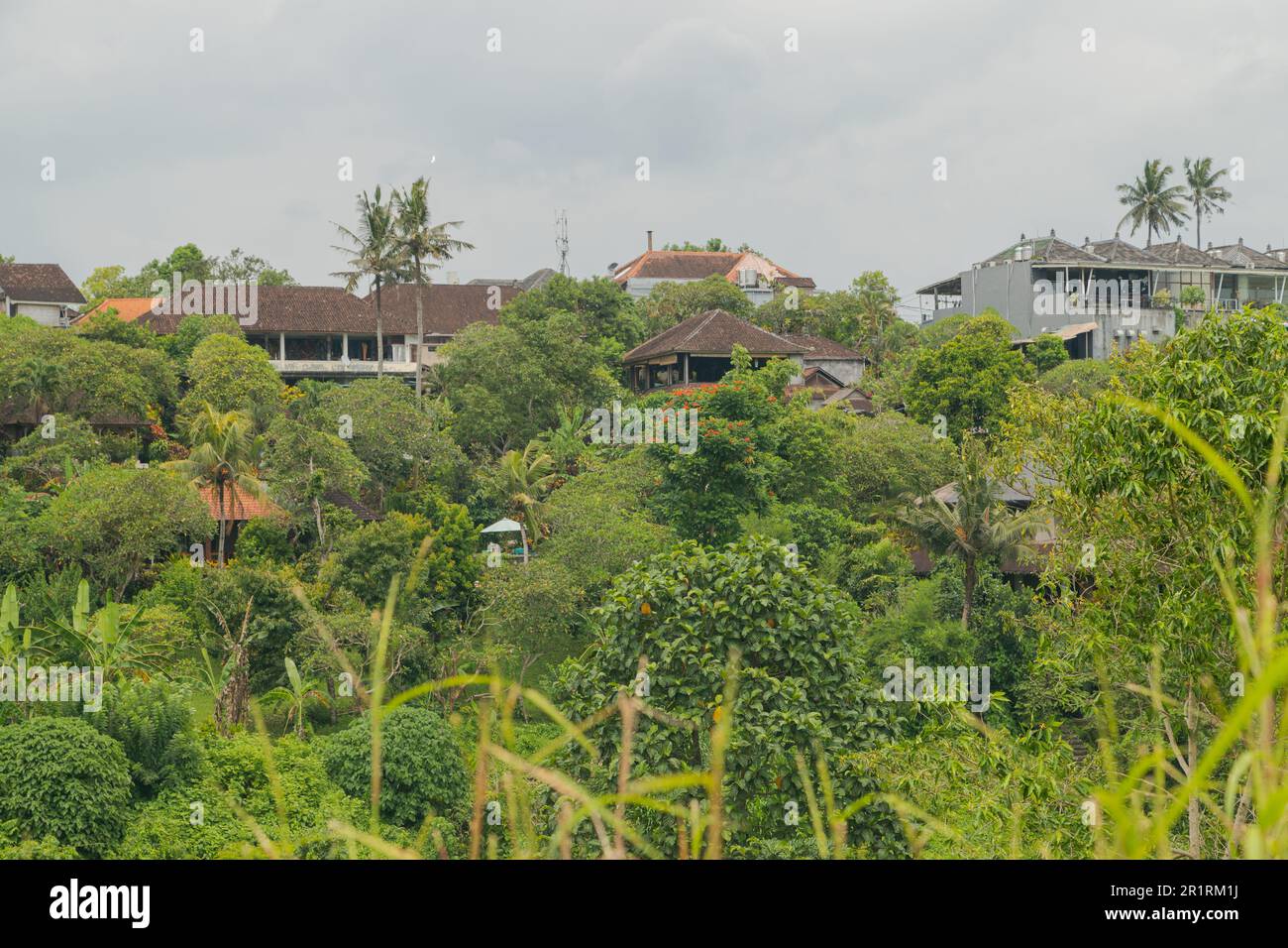 Landscape with houses in jungle near Campuhan ridge walk, Bali ...