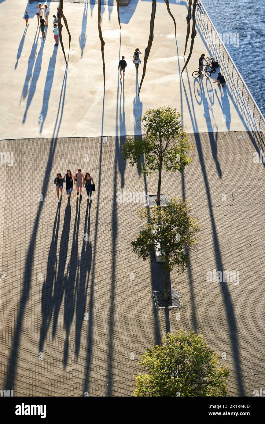 Aerial view of the people and long Shadows Stock Photo - Alamy