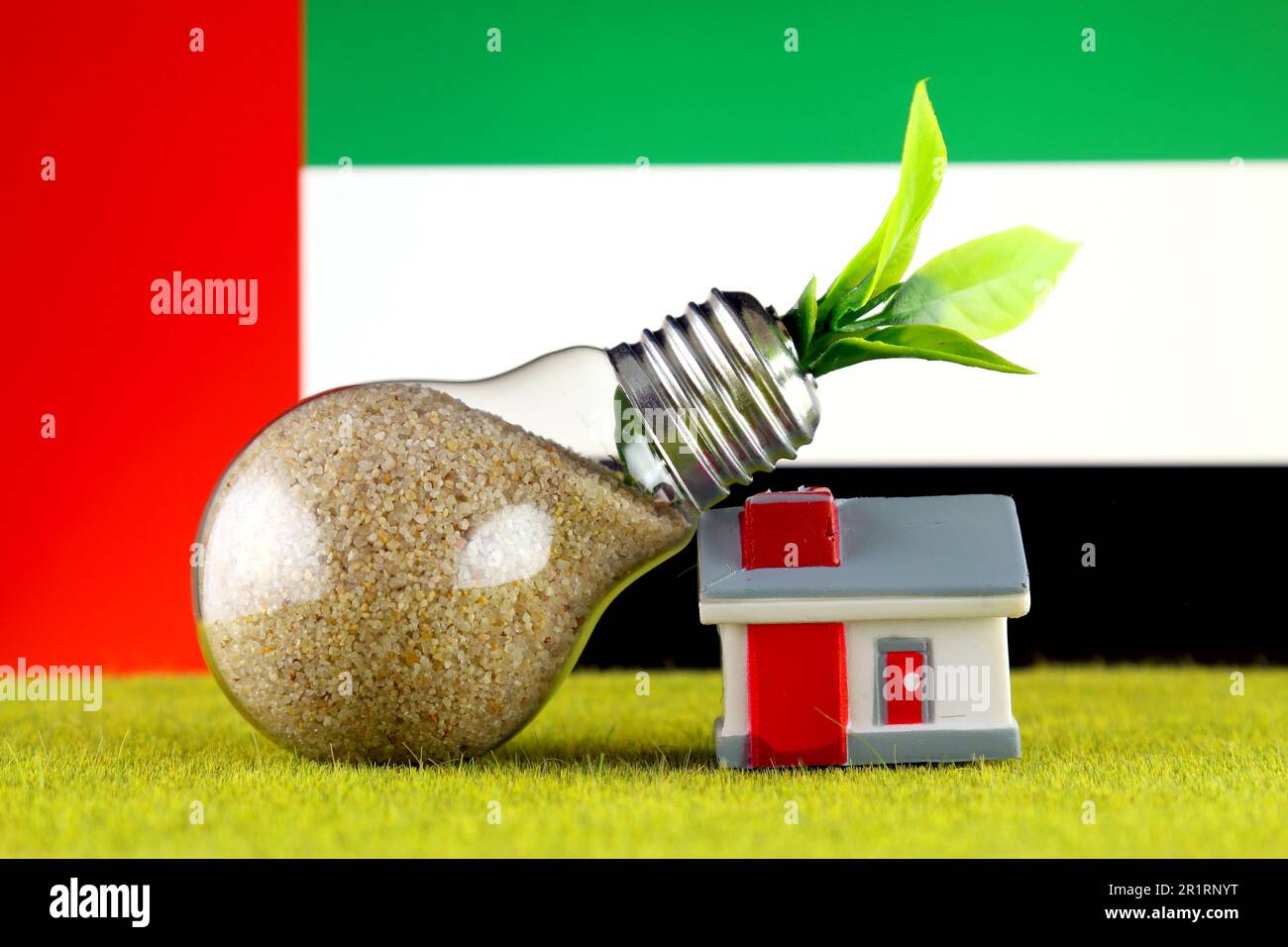 Plant growing inside the light bulb, miniature house on the grass and ...
