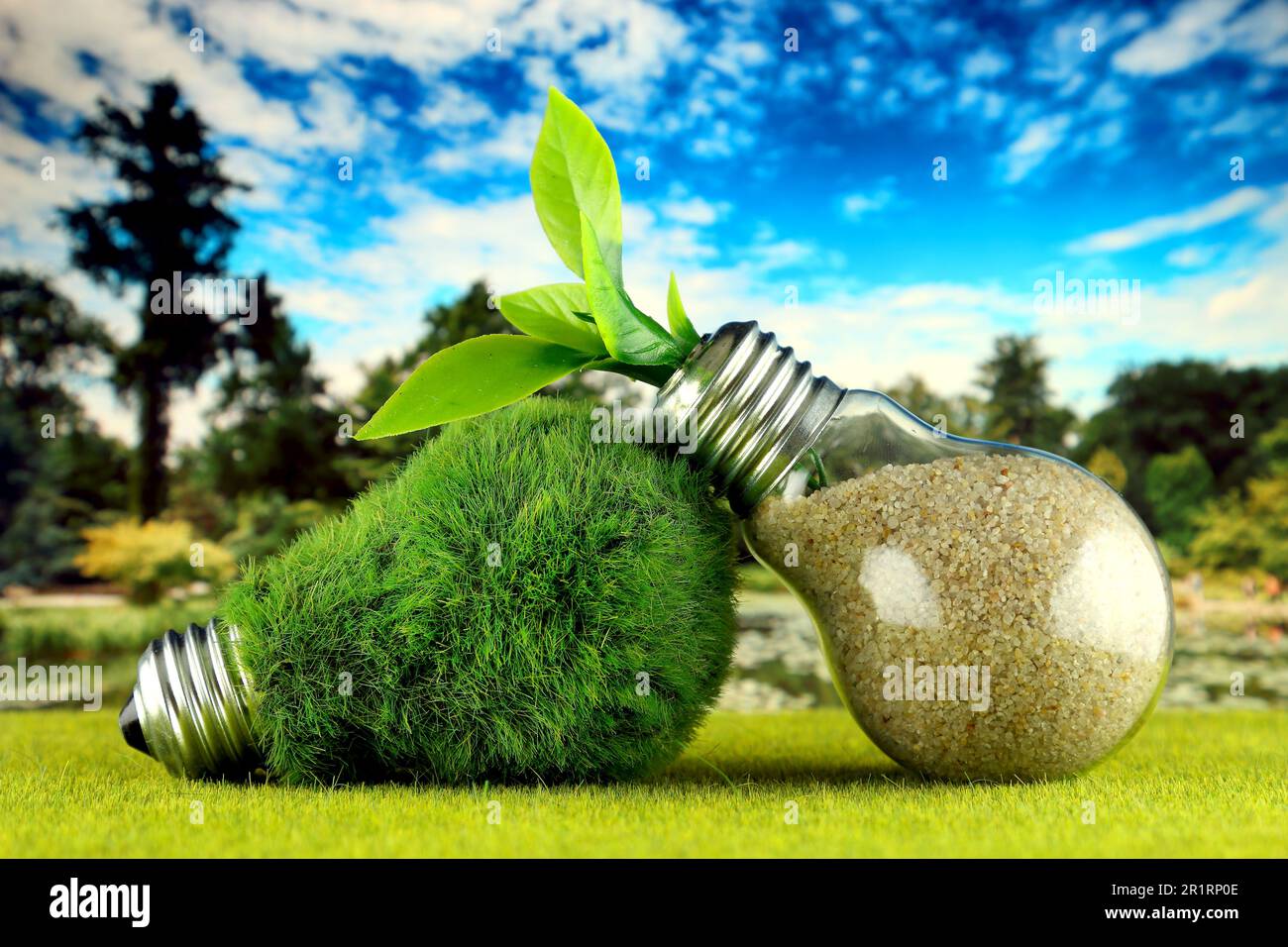 Green eco light bulb with grass, plant growing inside the light bulb ...