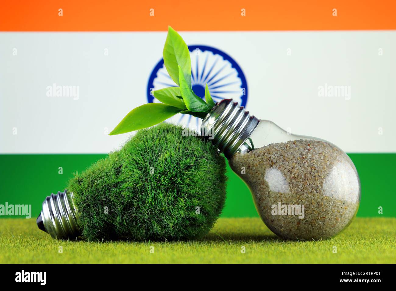 Green eco light bulb with grass, plant growing inside the light bulb ...