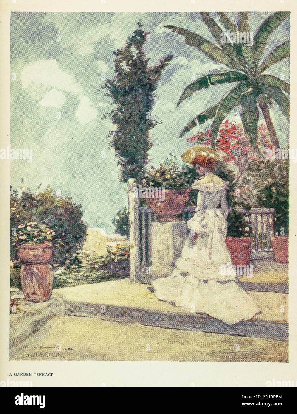 A garden terrace. Henderson, John (Author) Forrest, A. S. (Archibald ...