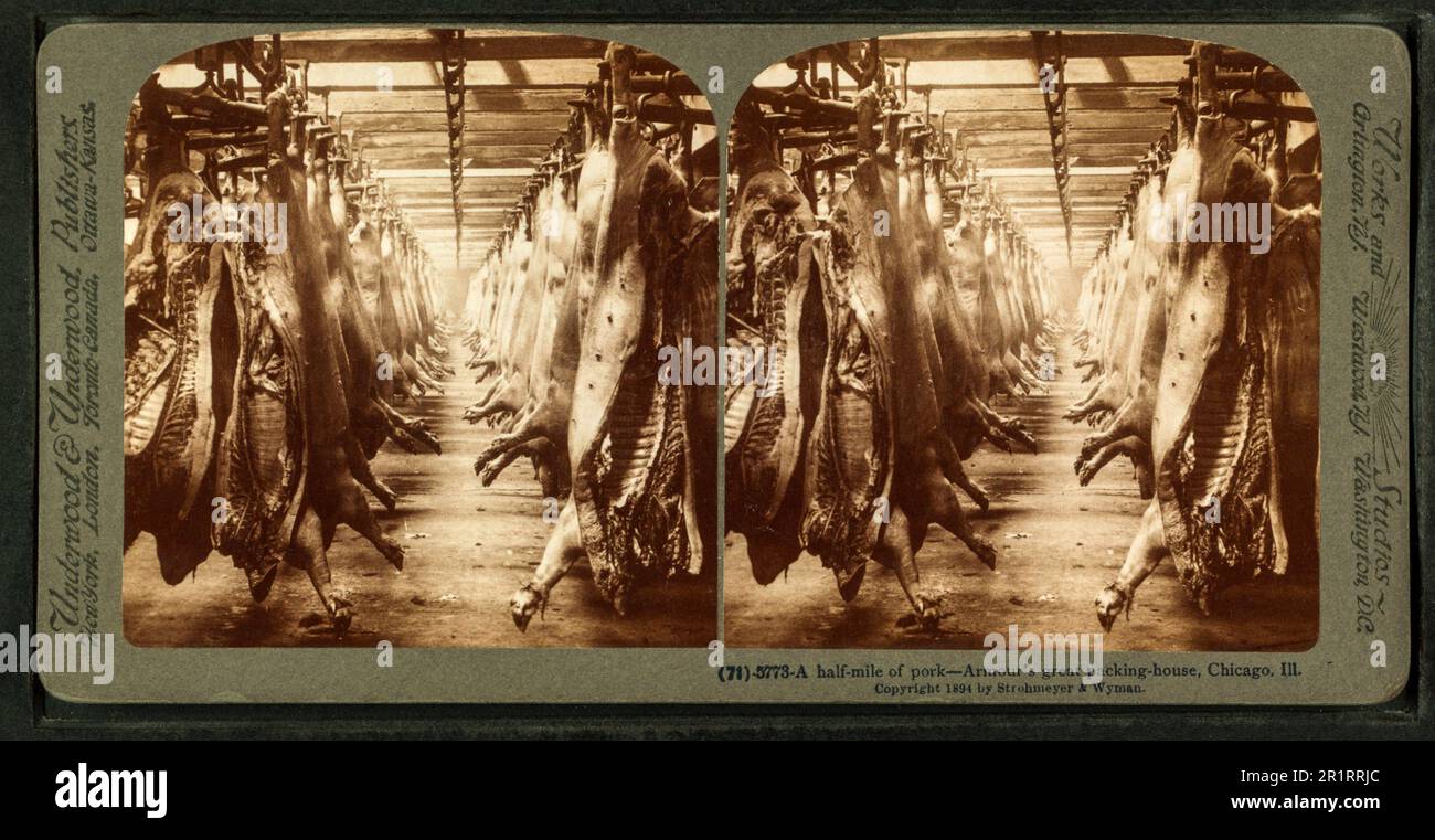Meat Packing Industry Gross
