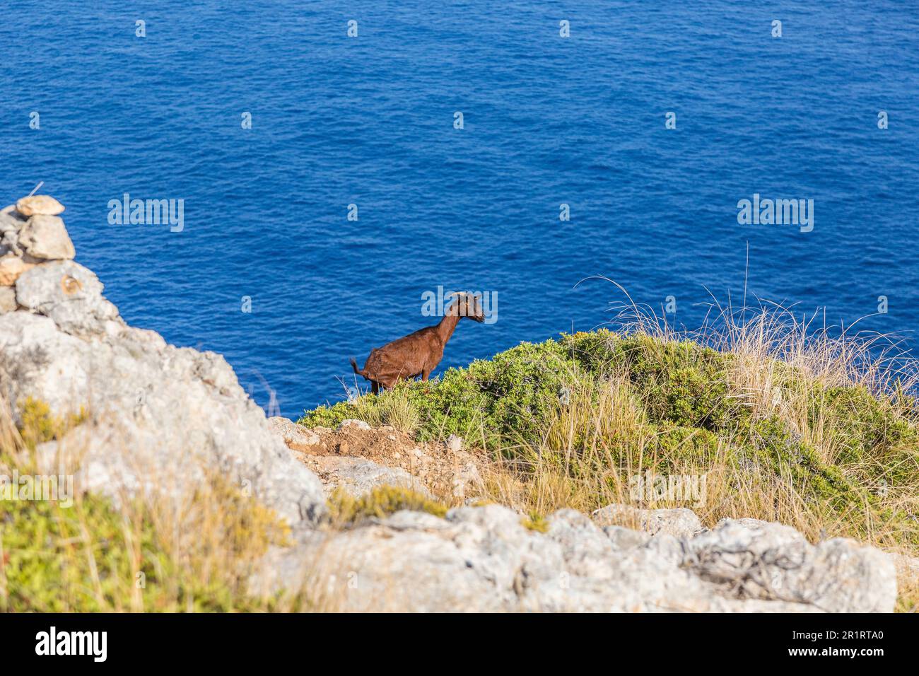 Stand on cliff hi-res stock photography and images - Alamy