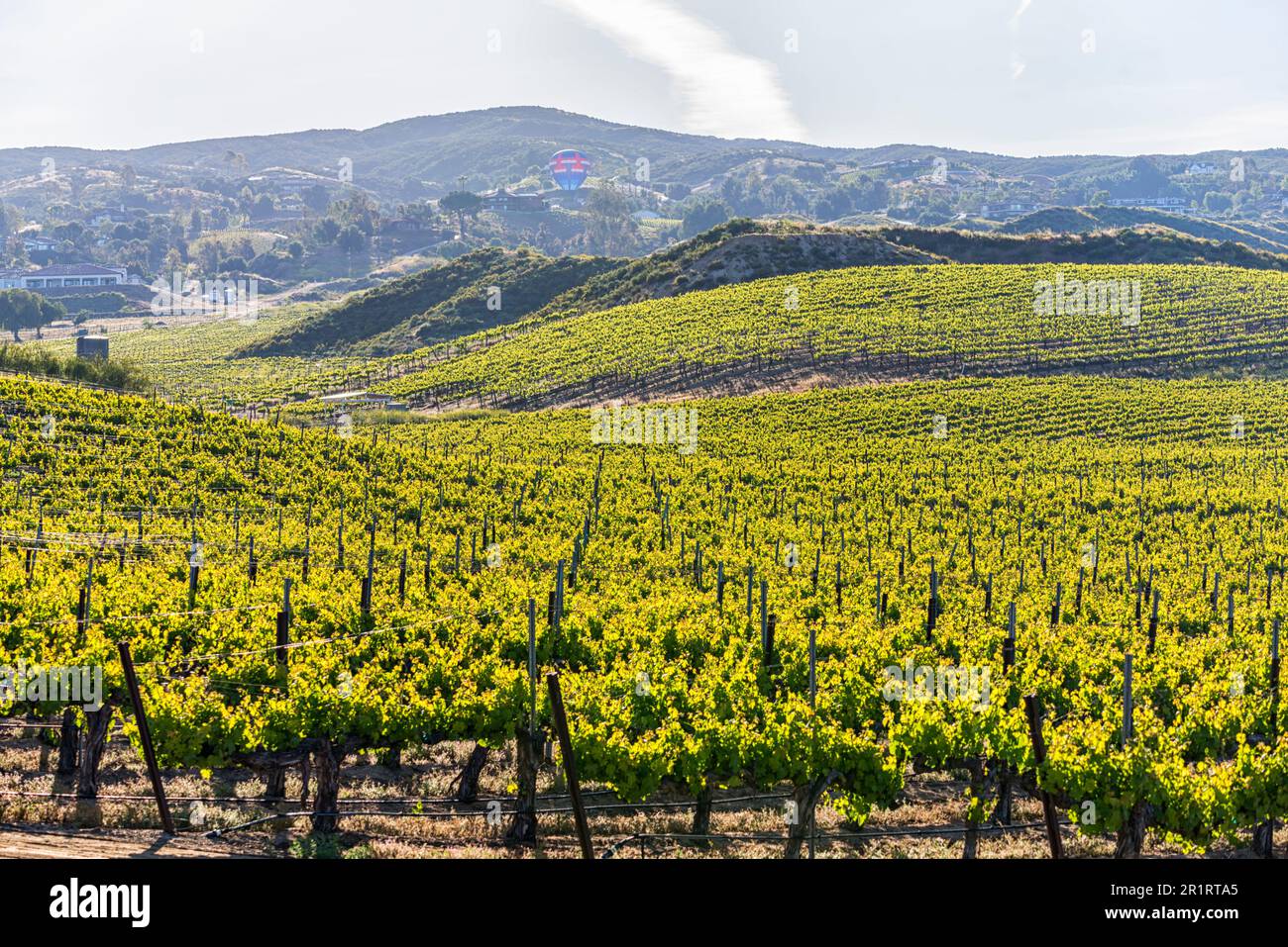 Southern california wine hi-res stock photography and images - Alamy