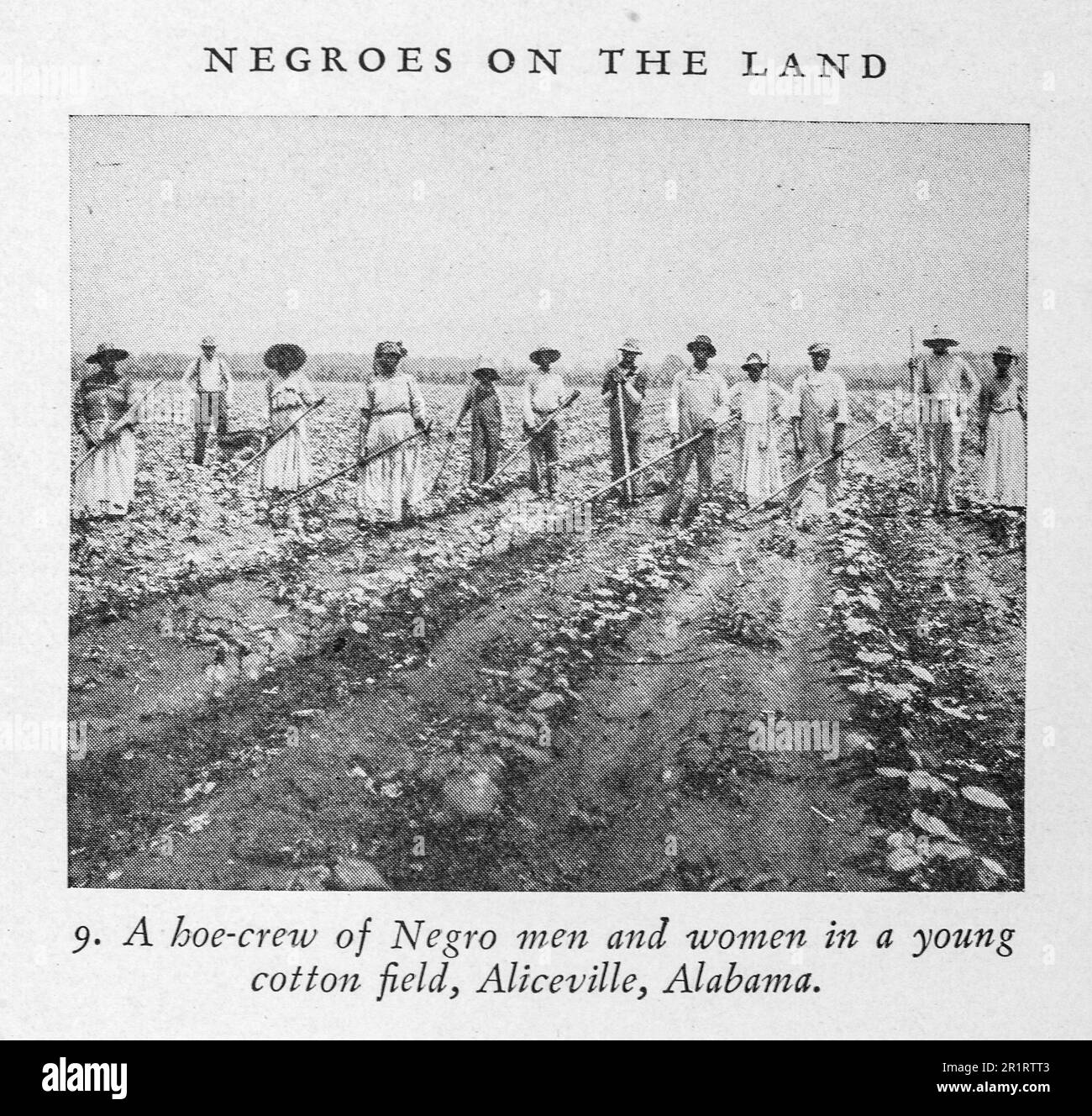 Black african american man woman Black and White Stock Photos & Images ...