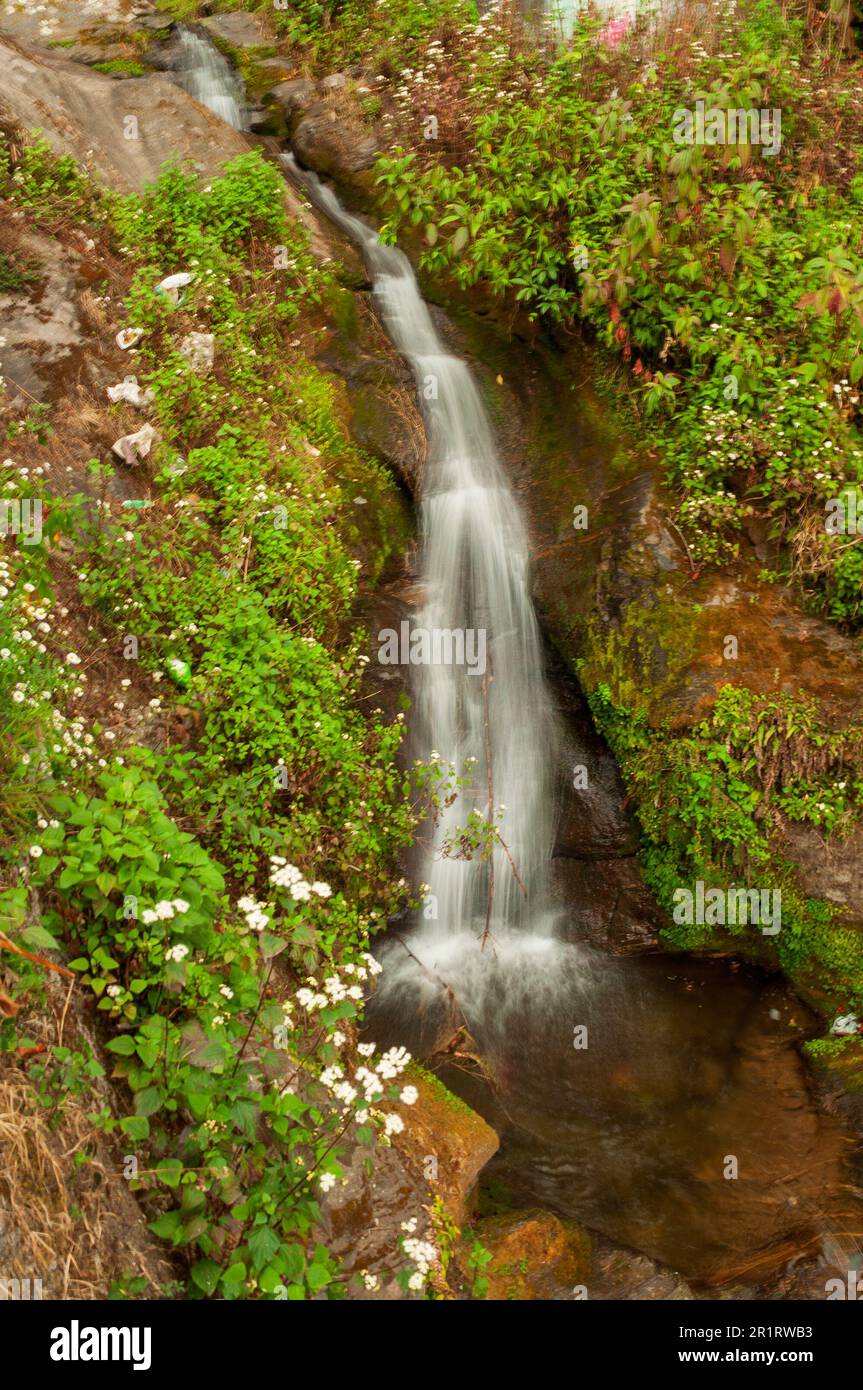Tirikhola Dancing Falls, Namchi, Sikkim, India. It is a beautiful waterfall from Himalayan ...