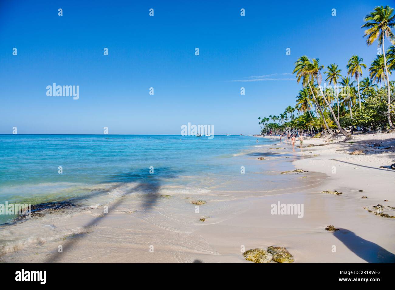 Tropical beach on the caribbean island of Domenican Republik Stock ...