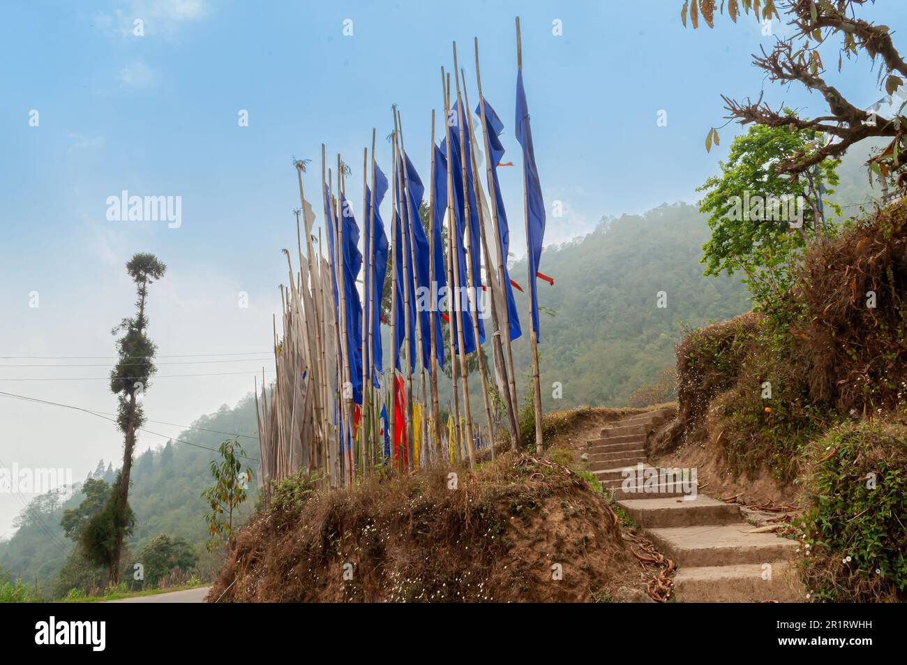 Buddist religious prayer flags and trees standing tall outside ...