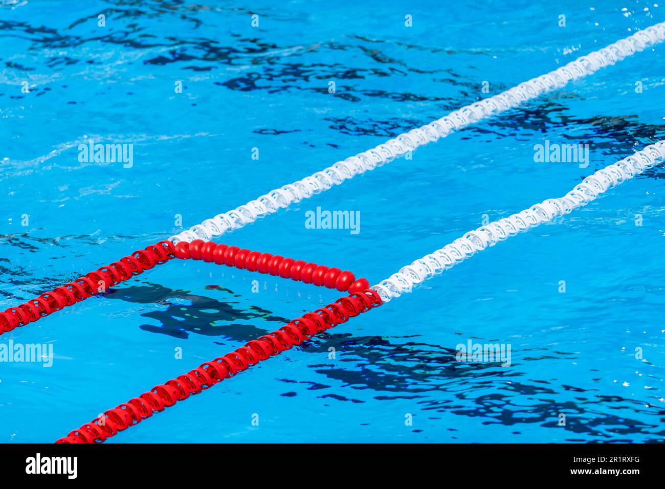 The view of an empty public swimming pool indoors. Lanes of a ...