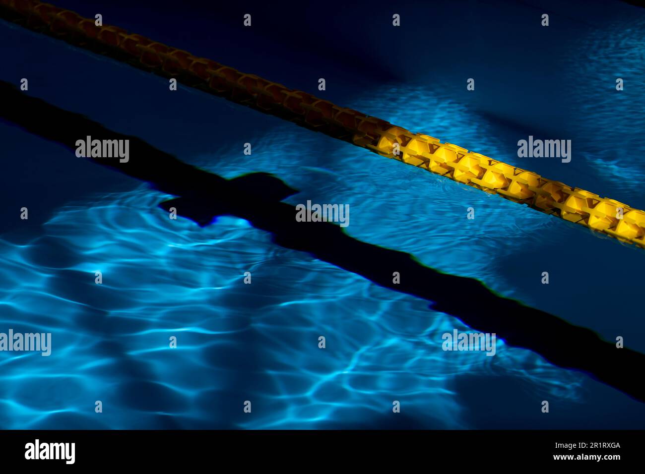 The view of an empty public swimming pool indoors. Lanes of a ...