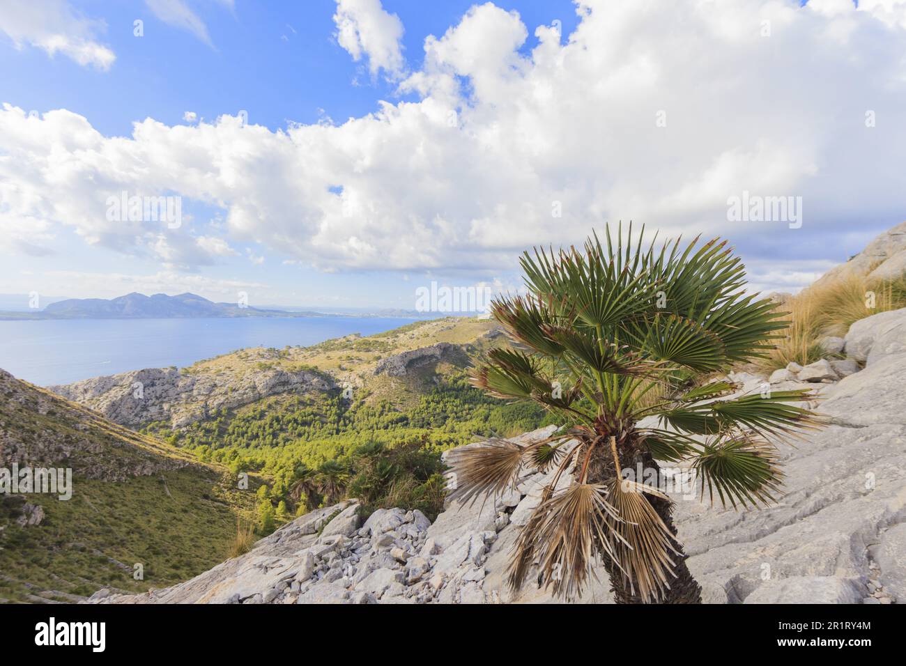 Photo of El Fumat on cap formentor in Majorca towards Cala Murta with ...