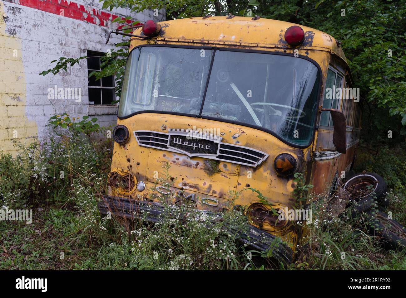 Wayne County Kentucky School Bus