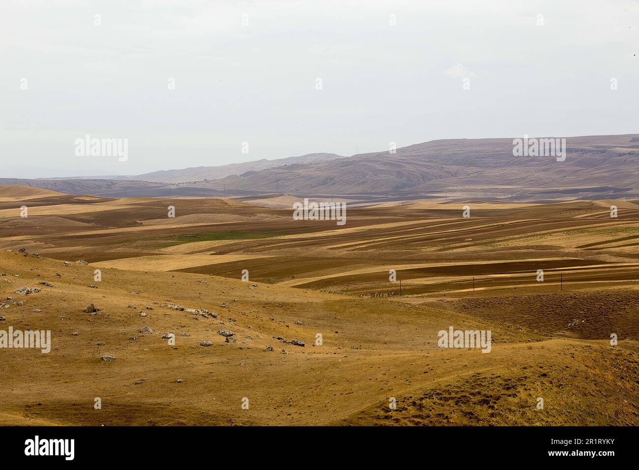 Diri baba hi-res stock photography and images - Alamy