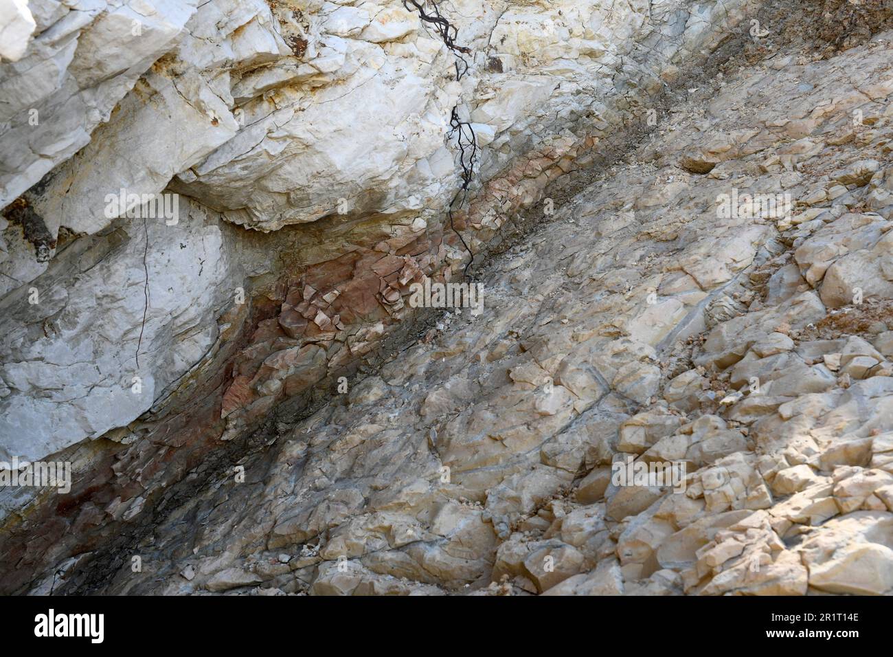 Cretaceous paleogene k p extinction hi-res stock photography and images ...