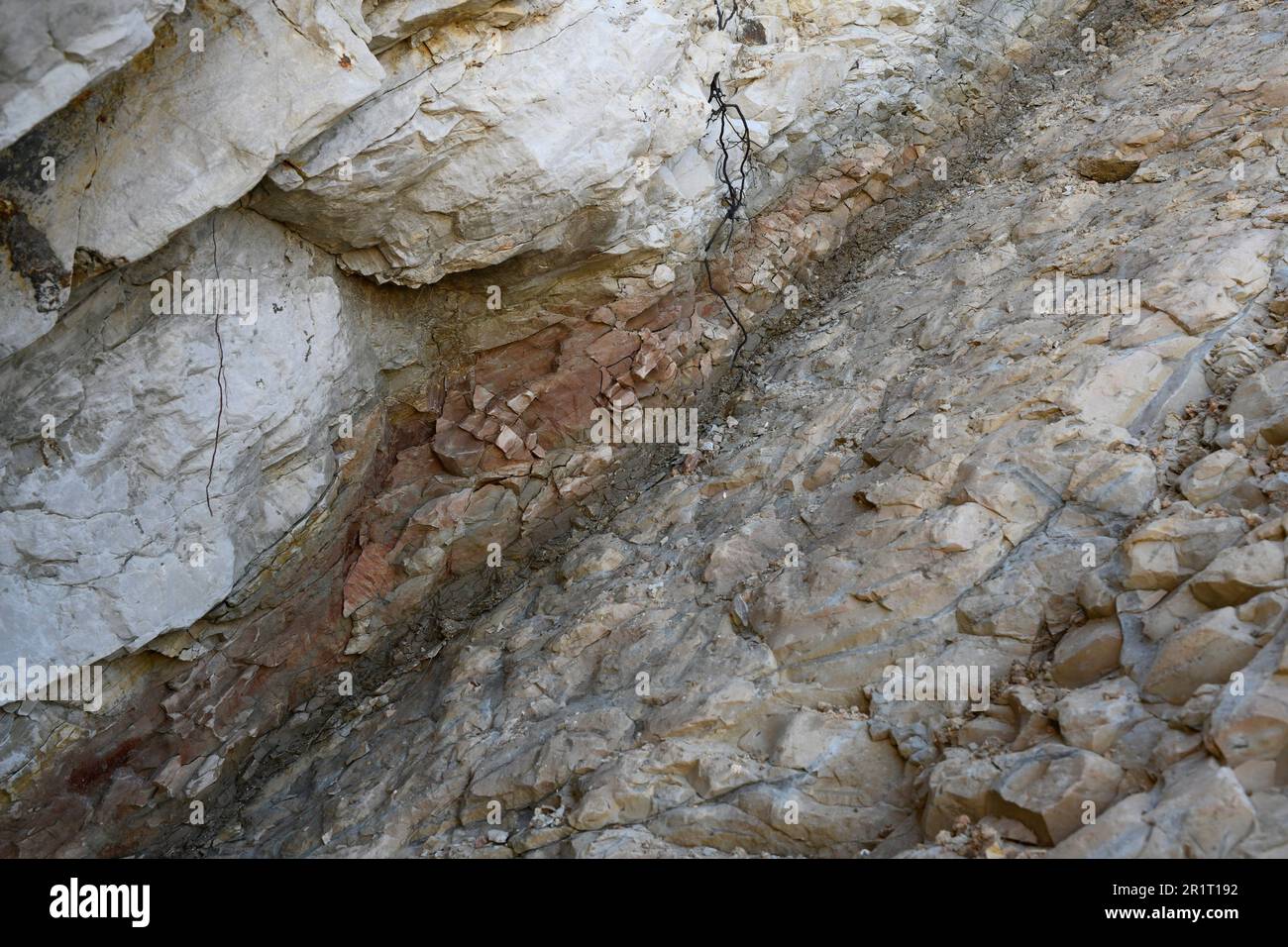 Cretaceous tertiary extinction hi-res stock photography and images - Alamy